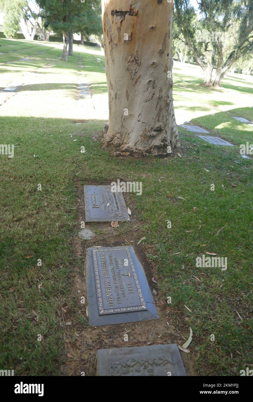 Los Angeles, California, USA 25th November 2022 Screenwriter/producer ...