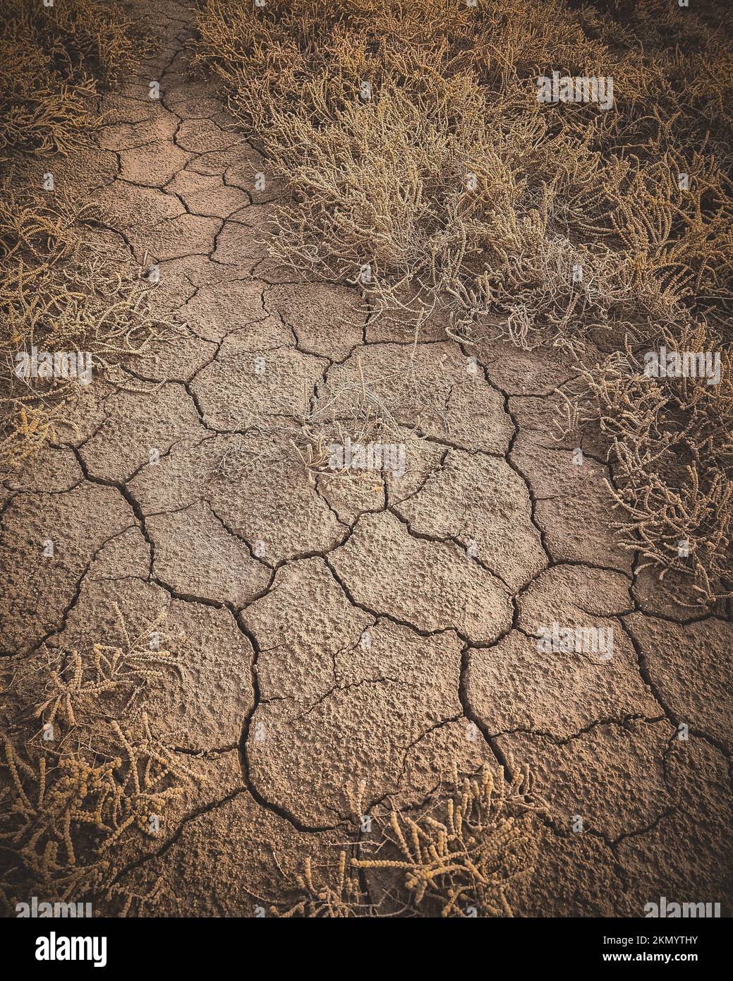 Vertical shot cracked ground hi-res stock photography and images - Alamy