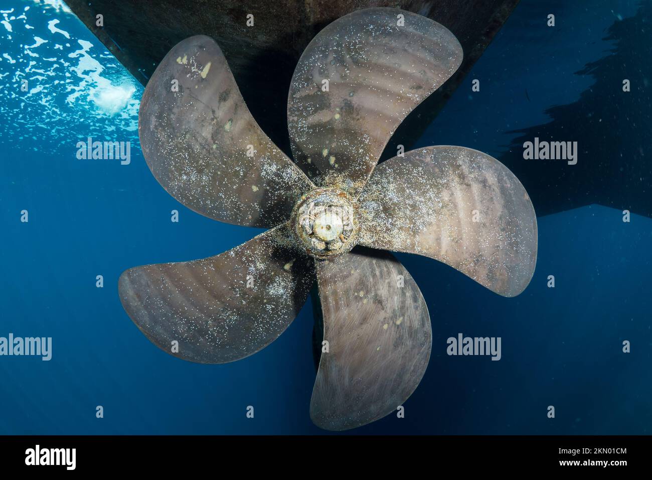 Underwater propulsion hi-res stock photography and images - Alamy