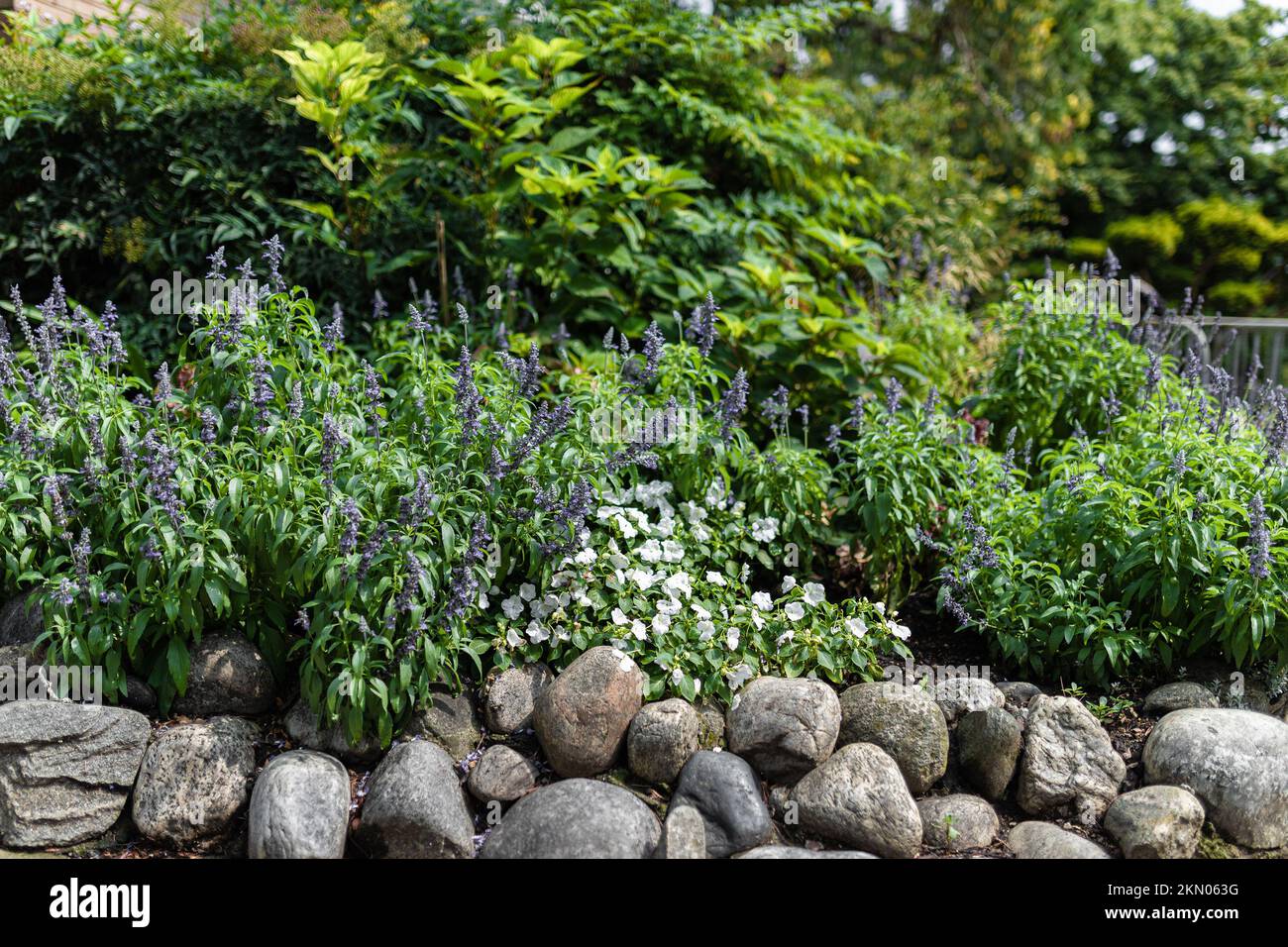 Small details of the city nature of Turin Stock Photo - Alamy