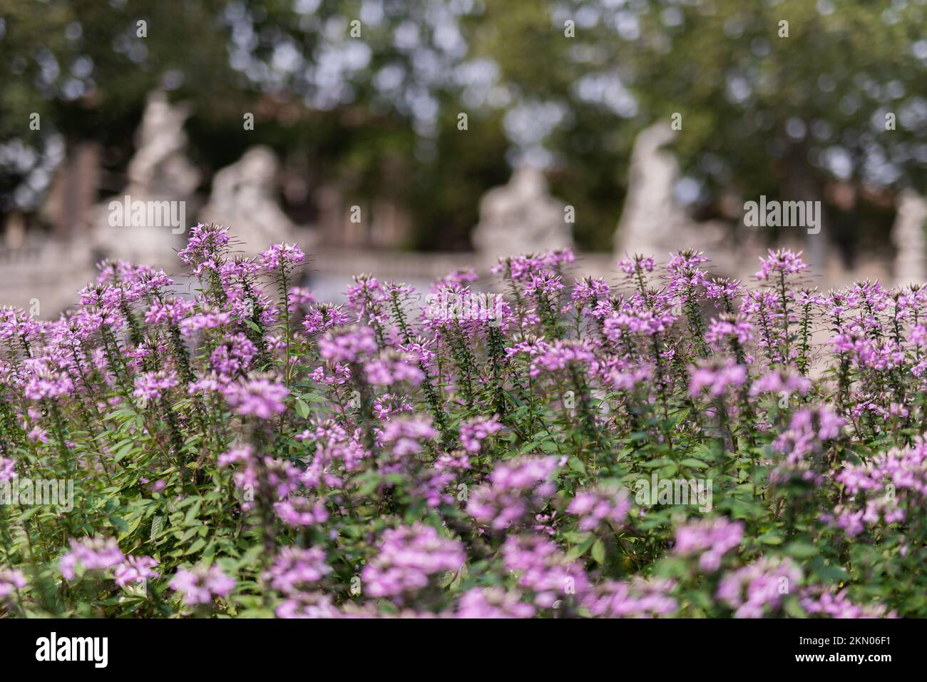 Small details of the city nature of Turin Stock Photo - Alamy