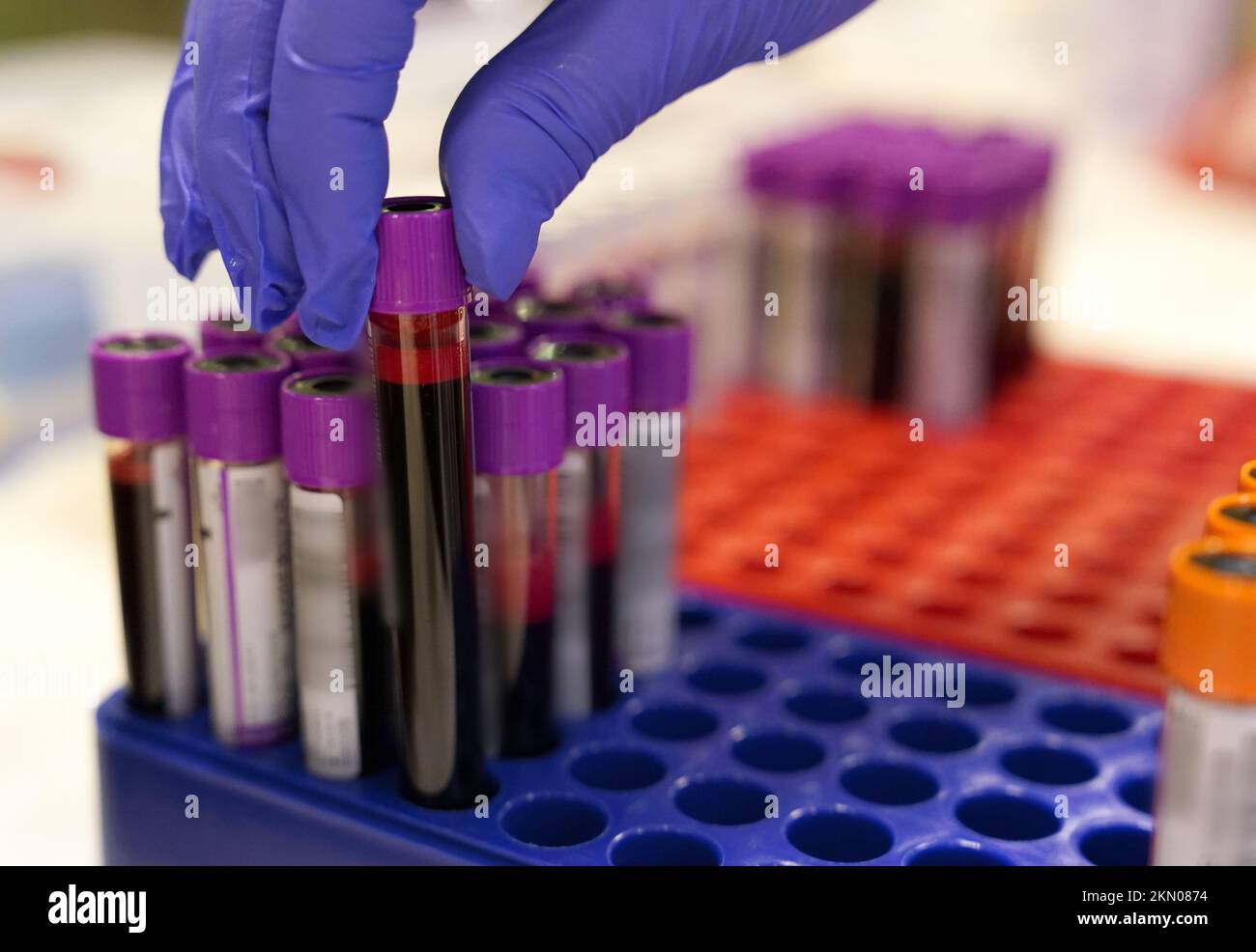 Kaltenkirchen, Germany. 25th Nov, 2022. An employee of the German Red ...