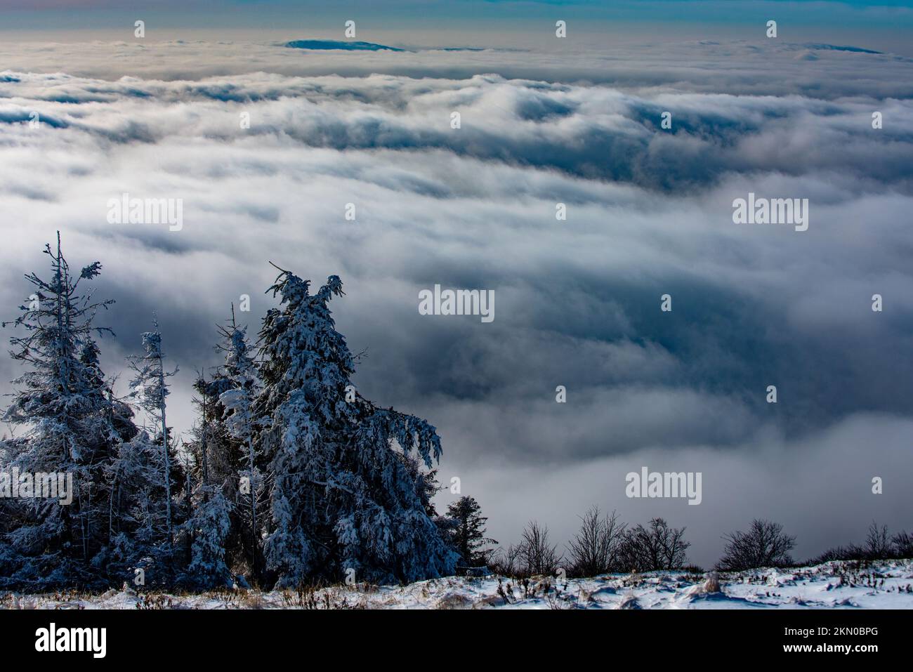 Winter with covered frost trees in the snowdrifts. Magical winter ...