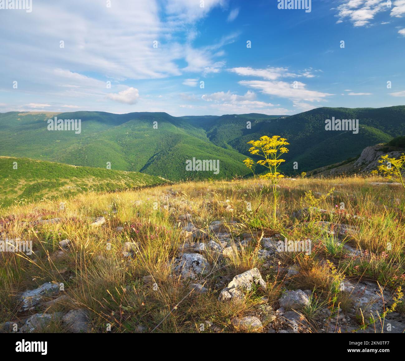 Mountain hill during sunset. Natural spring landscape Stock Photo - Alamy