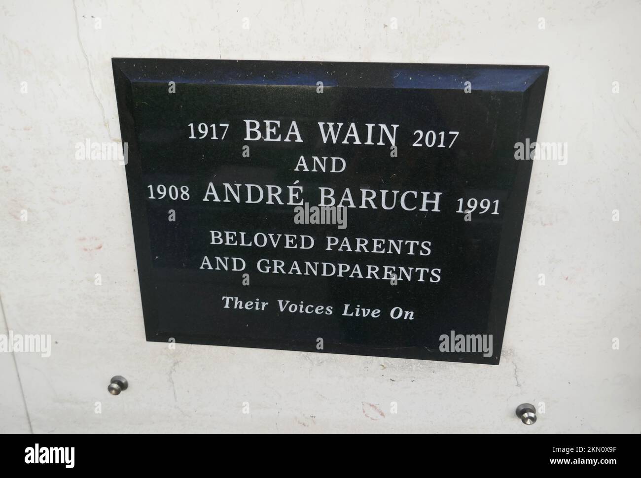 Los Angeles, California, USA 25th November 2022 Jazz Vocalist Be a Wain ...