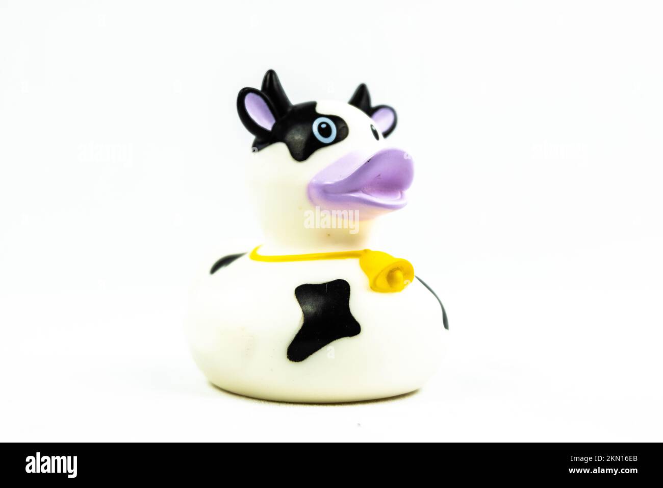 Yellow and black duckling Cut Out Stock Images & Pictures - Alamy