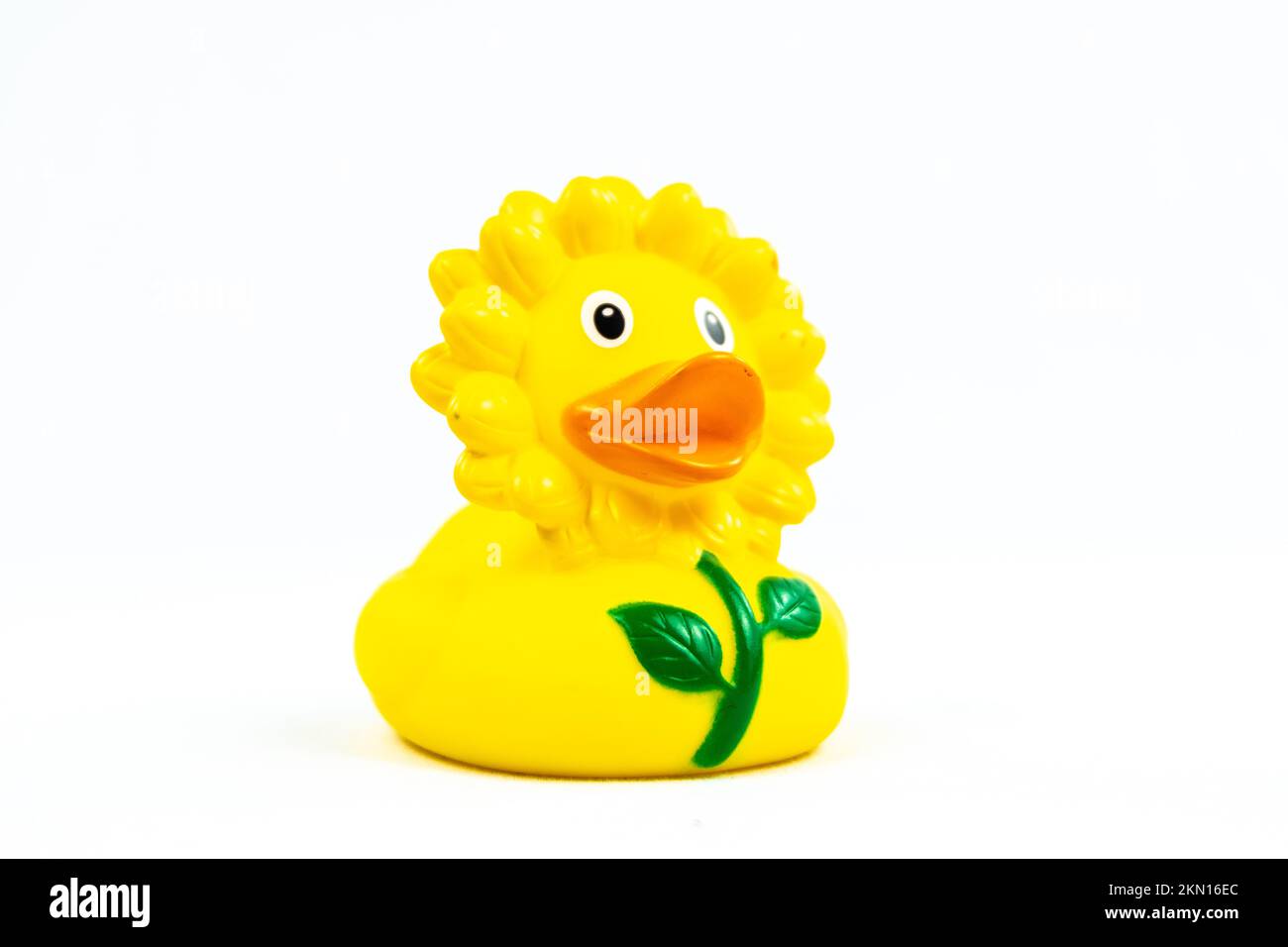Funny Yellow sunflower Duck Floating Toy on white Stock Photo - Alamy