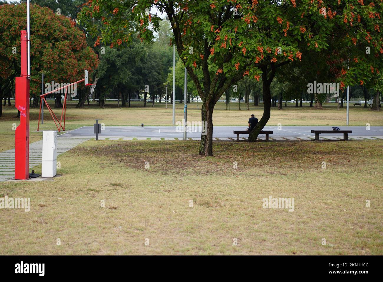 A public open park with benches and colorful trees in Belgrade Stock ...