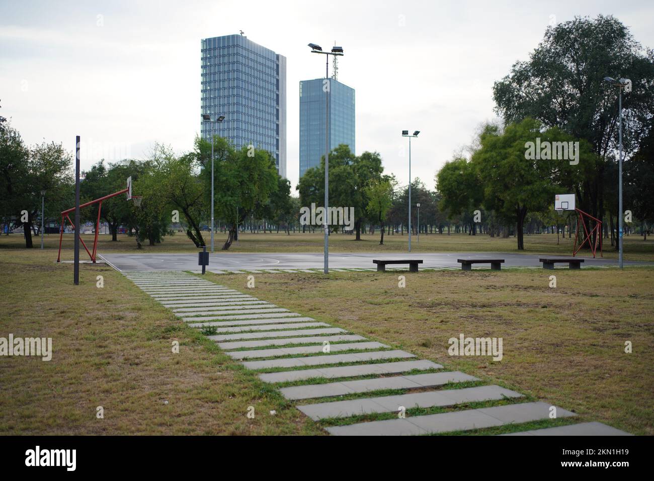 A public open grass ground with benches with trees and skyscrapers on ...