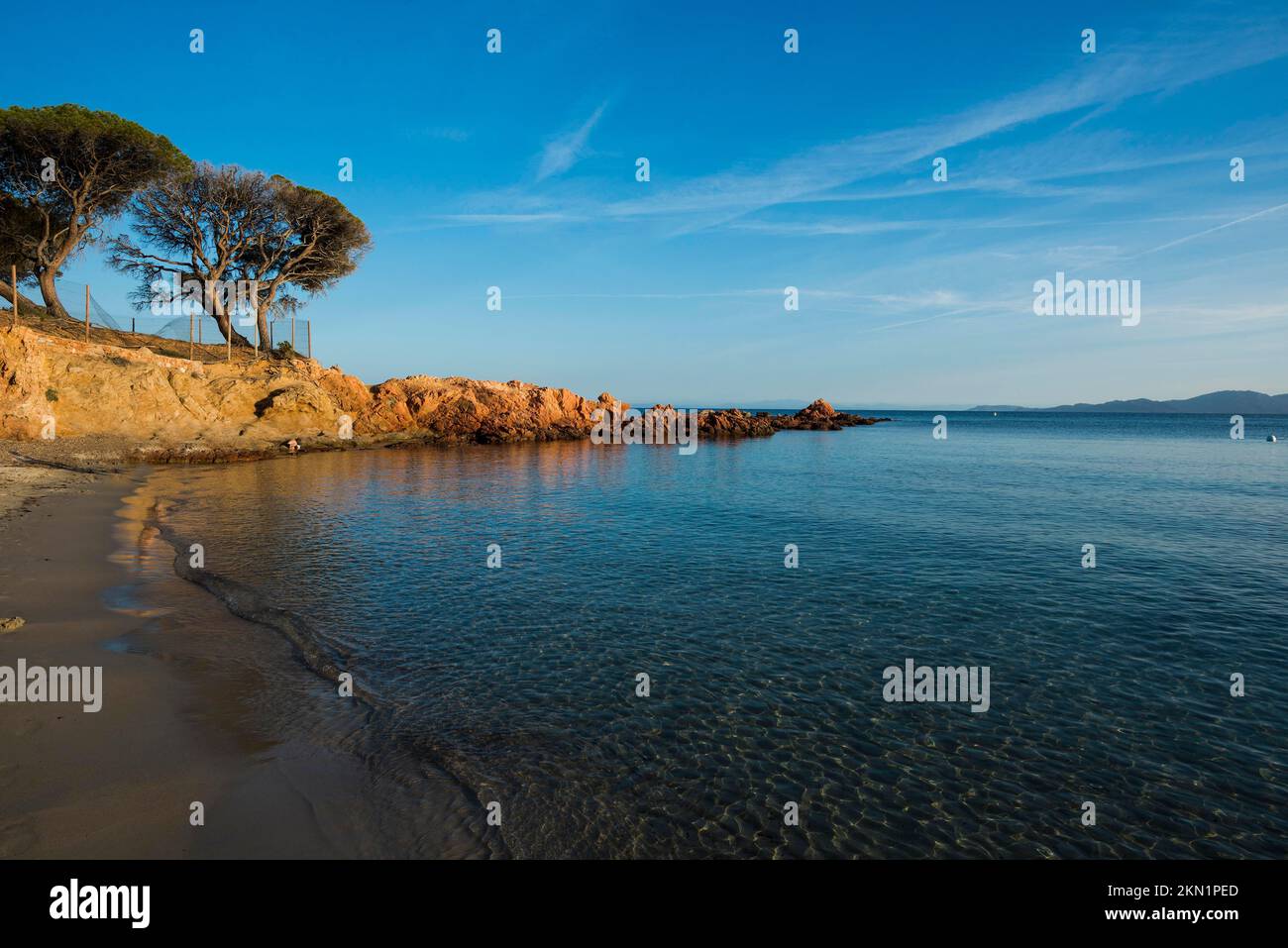 Beach and pines, Plage de Palombaggia, Porto Vecchio, Corse-du-Sud, Corsica, Mediterranean Sea ...