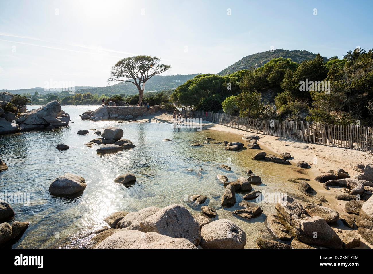 Beach and pines, Plage de Palombaggia, Porto Vecchio, Corse-du-Sud, Corsica, Mediterranean Sea ...