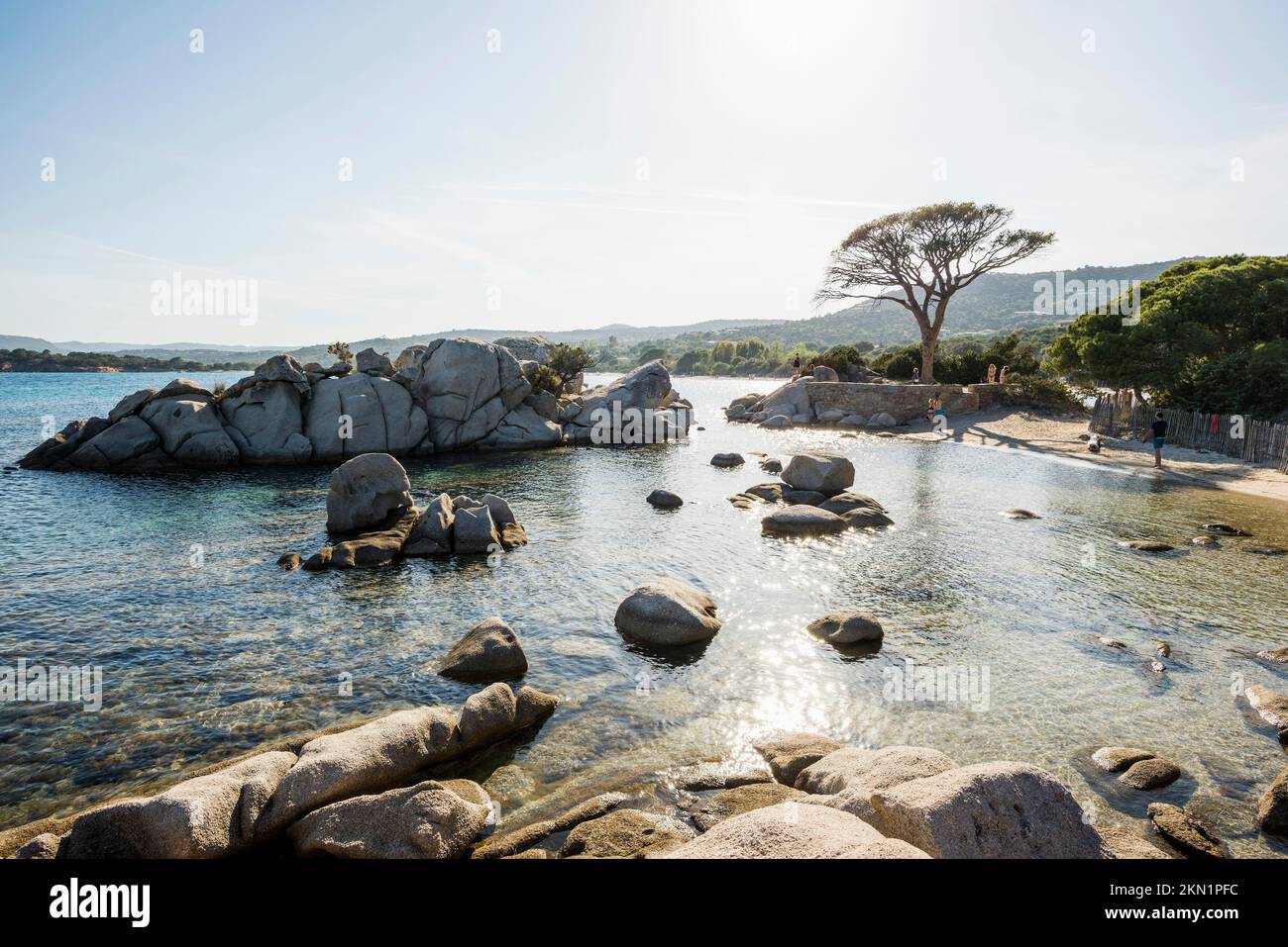 Beach and pines, Plage de Palombaggia, Porto Vecchio, Corse-du-Sud, Corsica, Mediterranean Sea ...