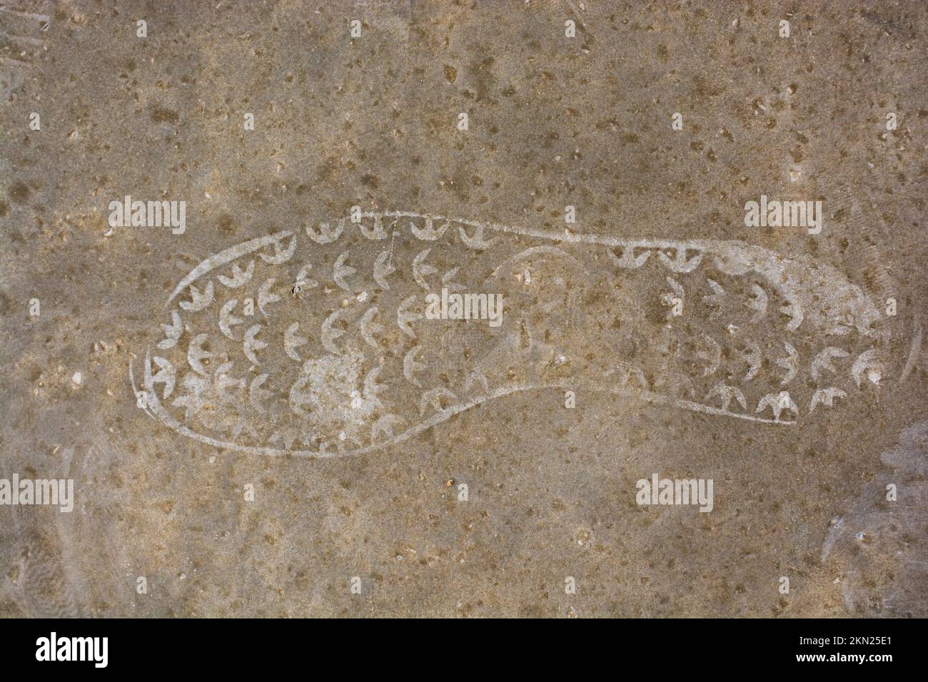 Footstep pattern seen on a concrete background Stock Photo - Alamy
