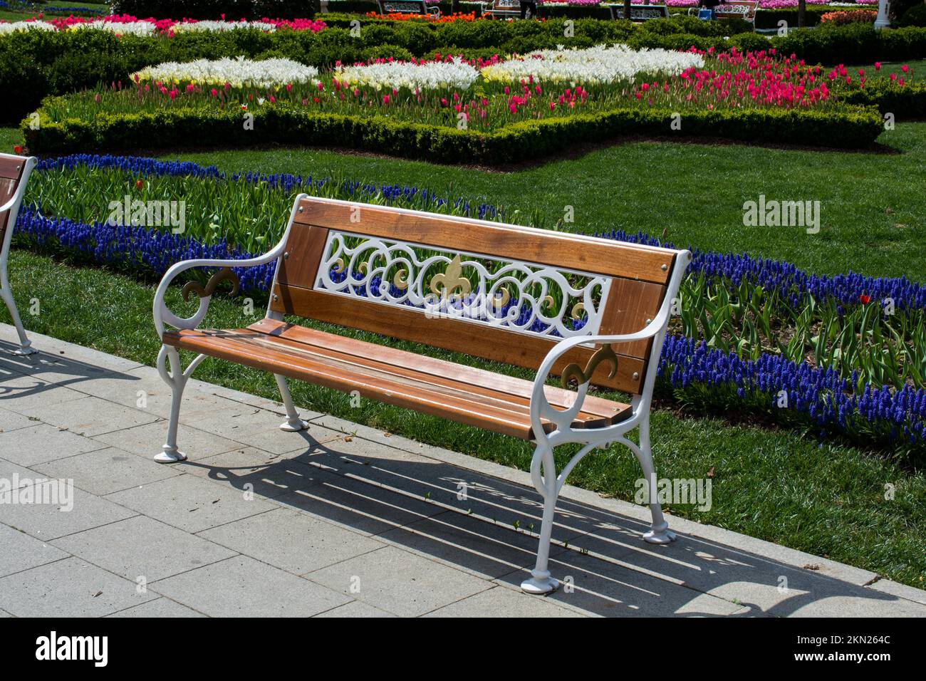 Wooden park bench at a park Stock Photo - Alamy