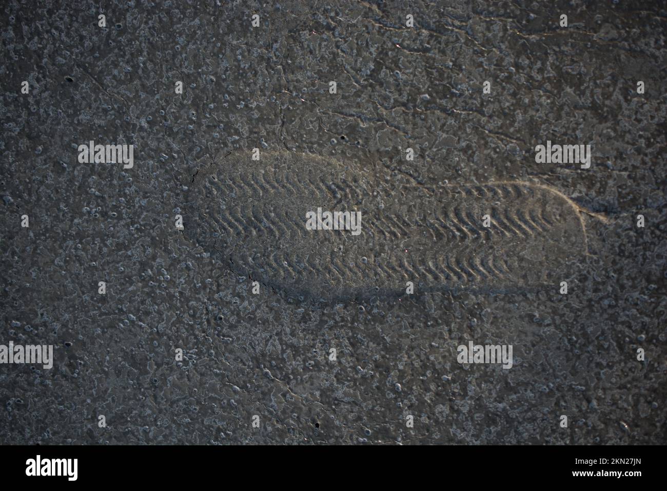Footstep pattern seen on a concrete background Stock Photo - Alamy