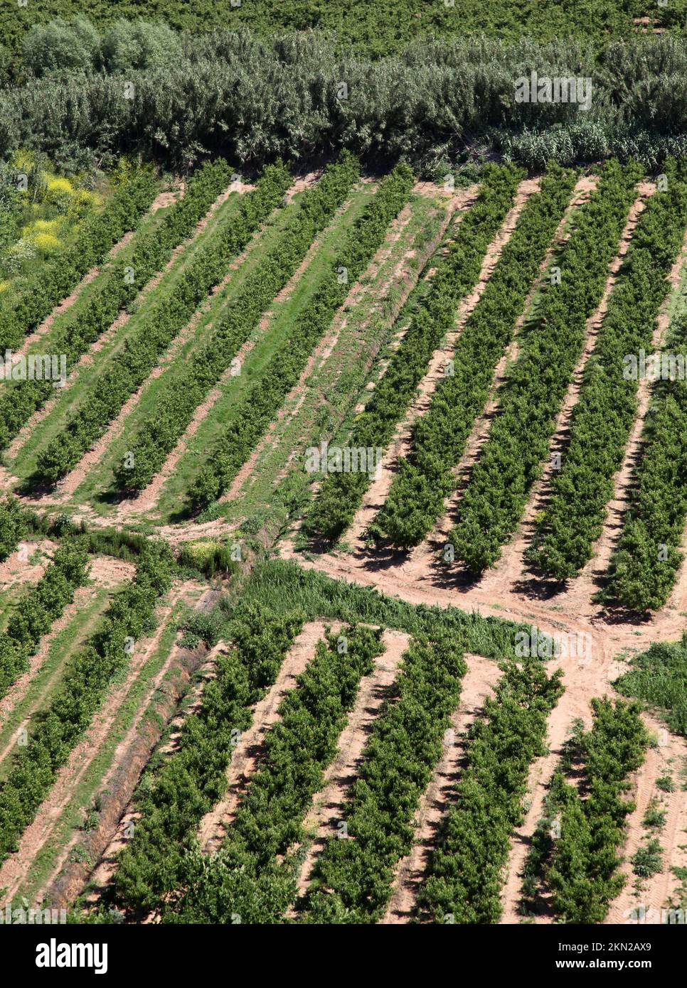 Agriculture in portugal hi-res stock photography and images - Alamy
