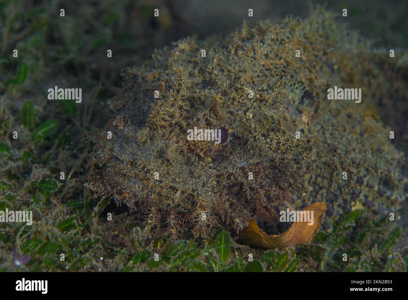 Great barrier reef poster hi-res stock photography and images - Alamy