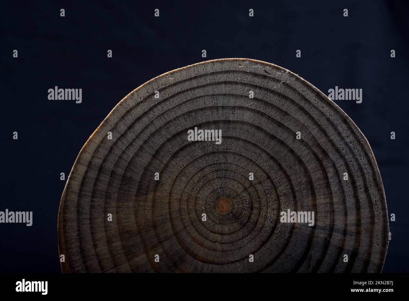 Piece of cut wood log texture as background Stock Photo - Alamy