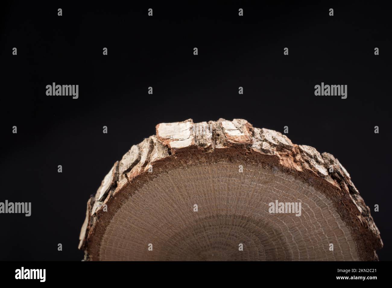 Piece of cut wood log texture as background Stock Photo - Alamy