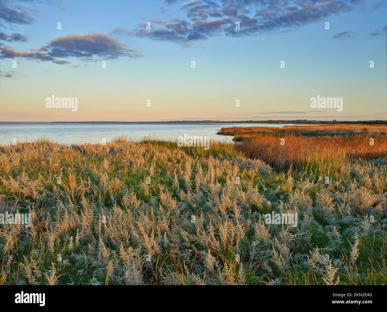 Horizon across the Jutland shore. Mudflats of the Jutland shore Stock ...