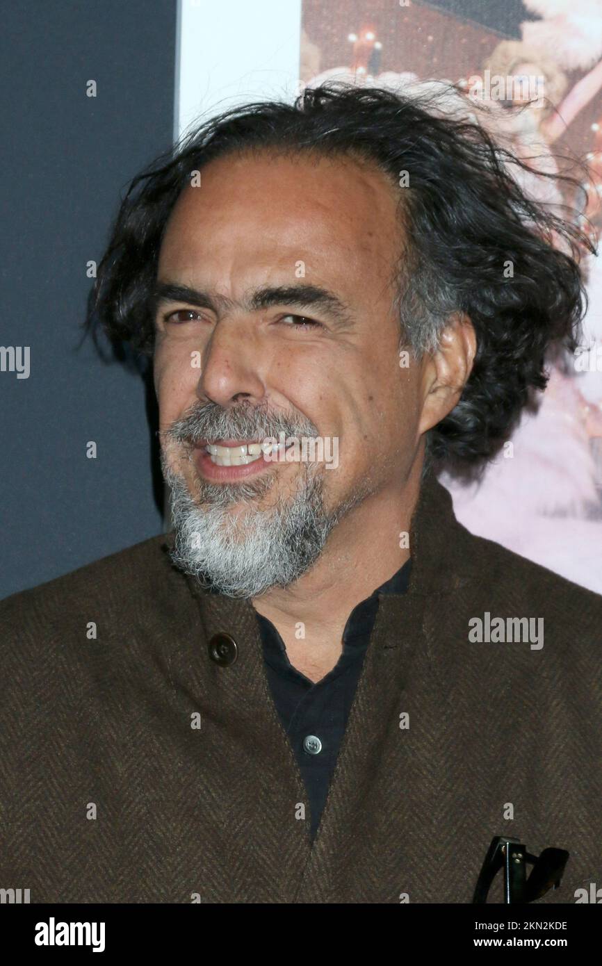 LOS ANGELES - NOV 3: Alejandro G. Inarritu at the AFI Fest - Bardo ...