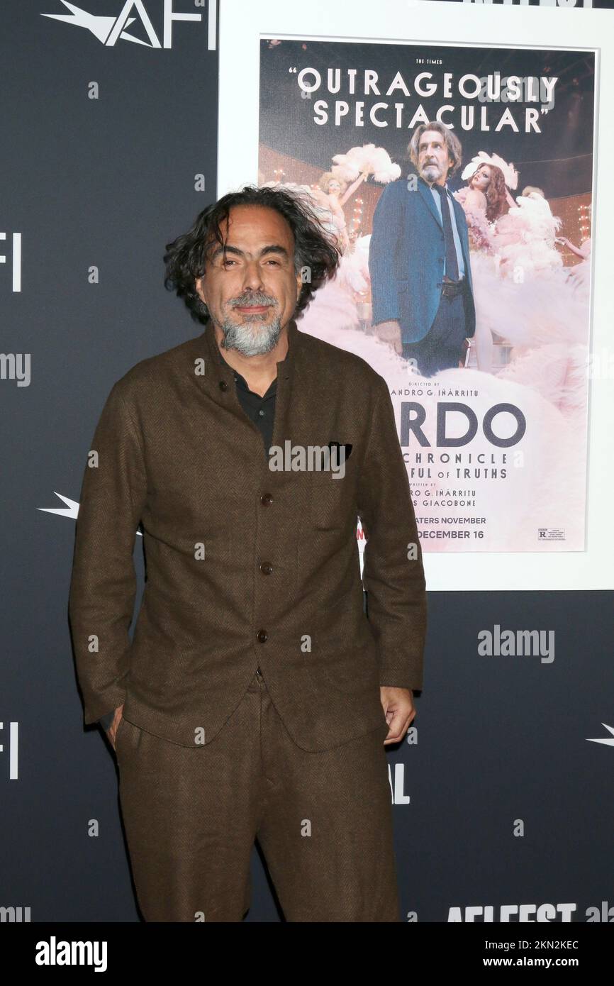 LOS ANGELES - NOV 3: Alejandro G. Inarritu at the AFI Fest - Bardo ...