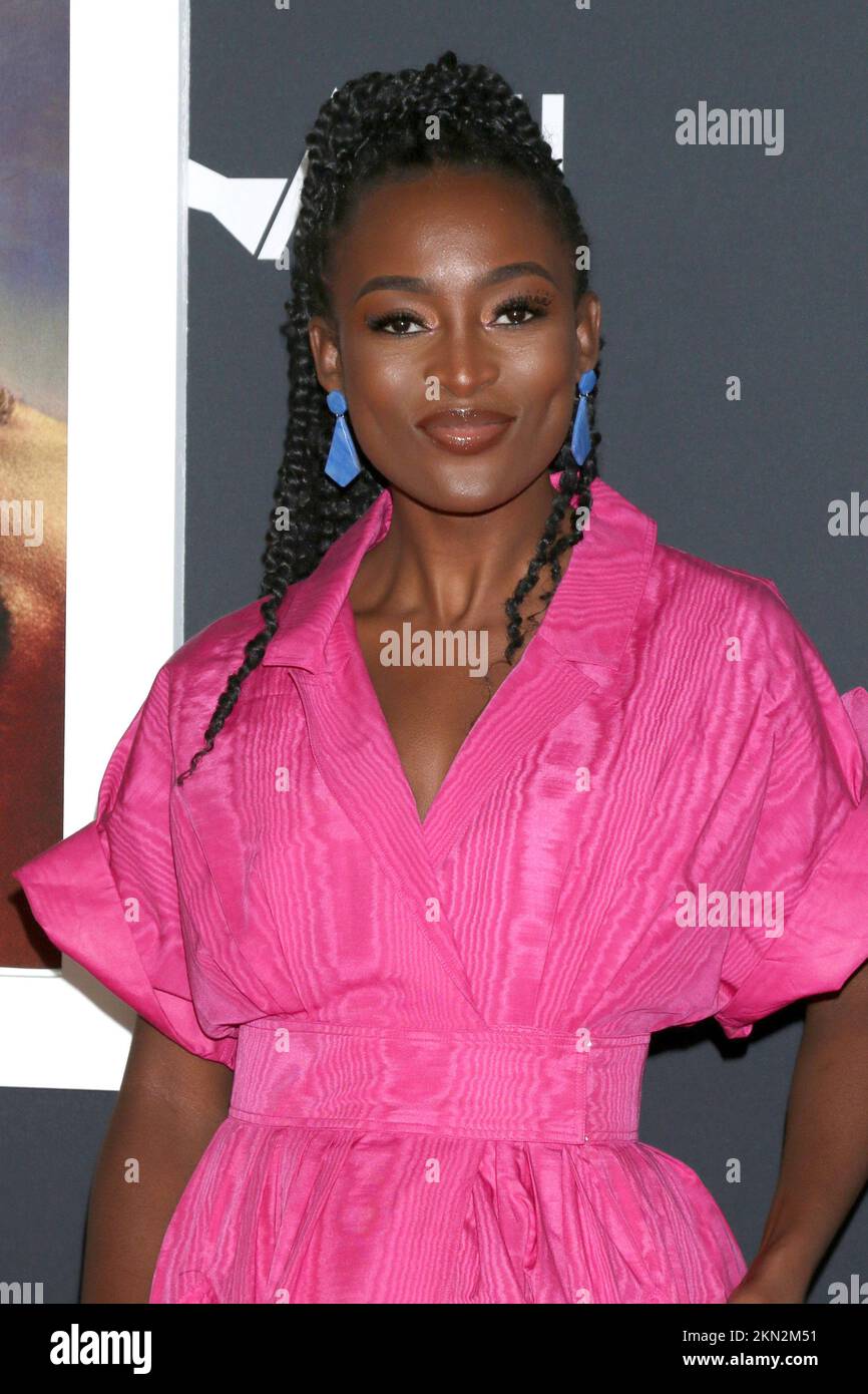 LOS ANGELES - NOV 3: Zephani Idoko at the AFI Fest - Nanny Screening at ...