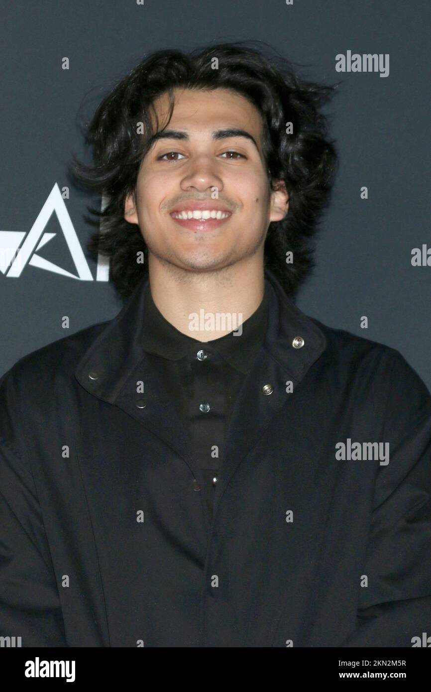 LOS ANGELES - NOV 3: Mattia Polibio at the AFI Fest - Nanny Screening ...