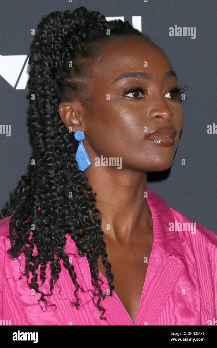 LOS ANGELES - NOV 3: Zephani Idoko at the AFI Fest - Nanny Screening at ...