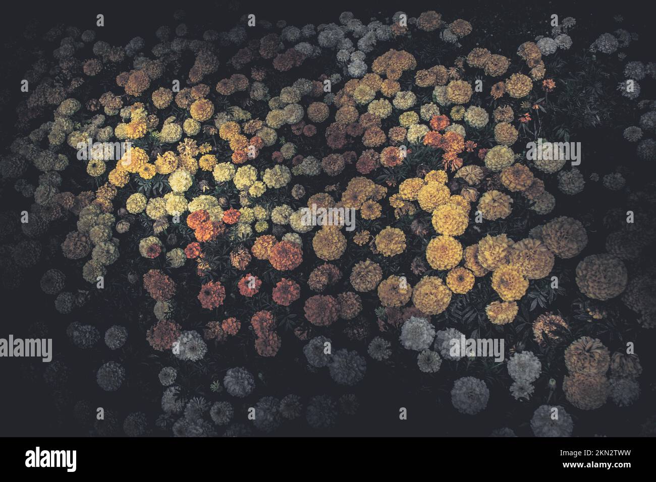 Old stylised nature photo of a landscaped flower garden on washed out ...