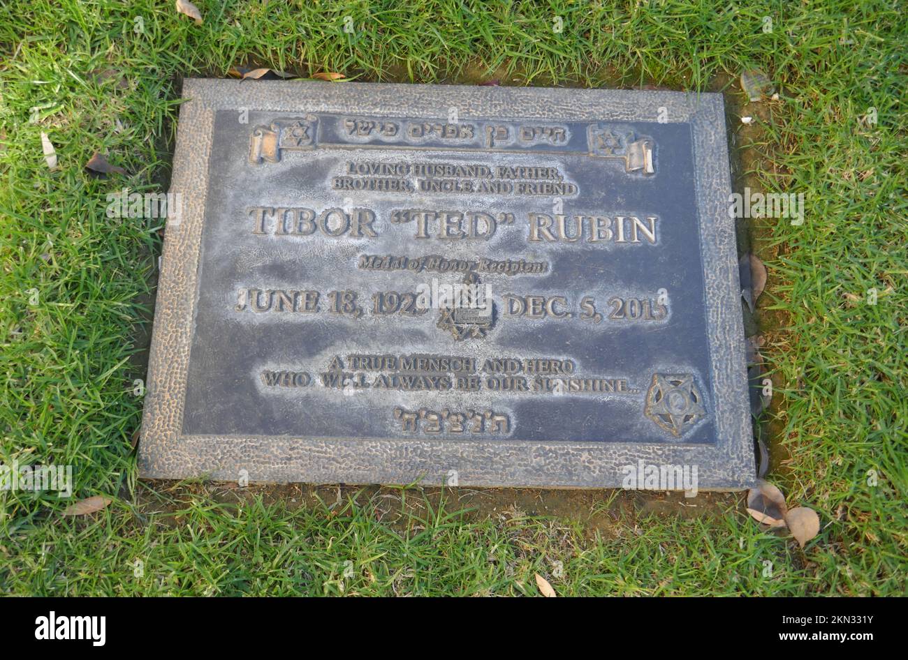 Los Angeles, California, USA 25th November 2022 Korean War Medal of ...