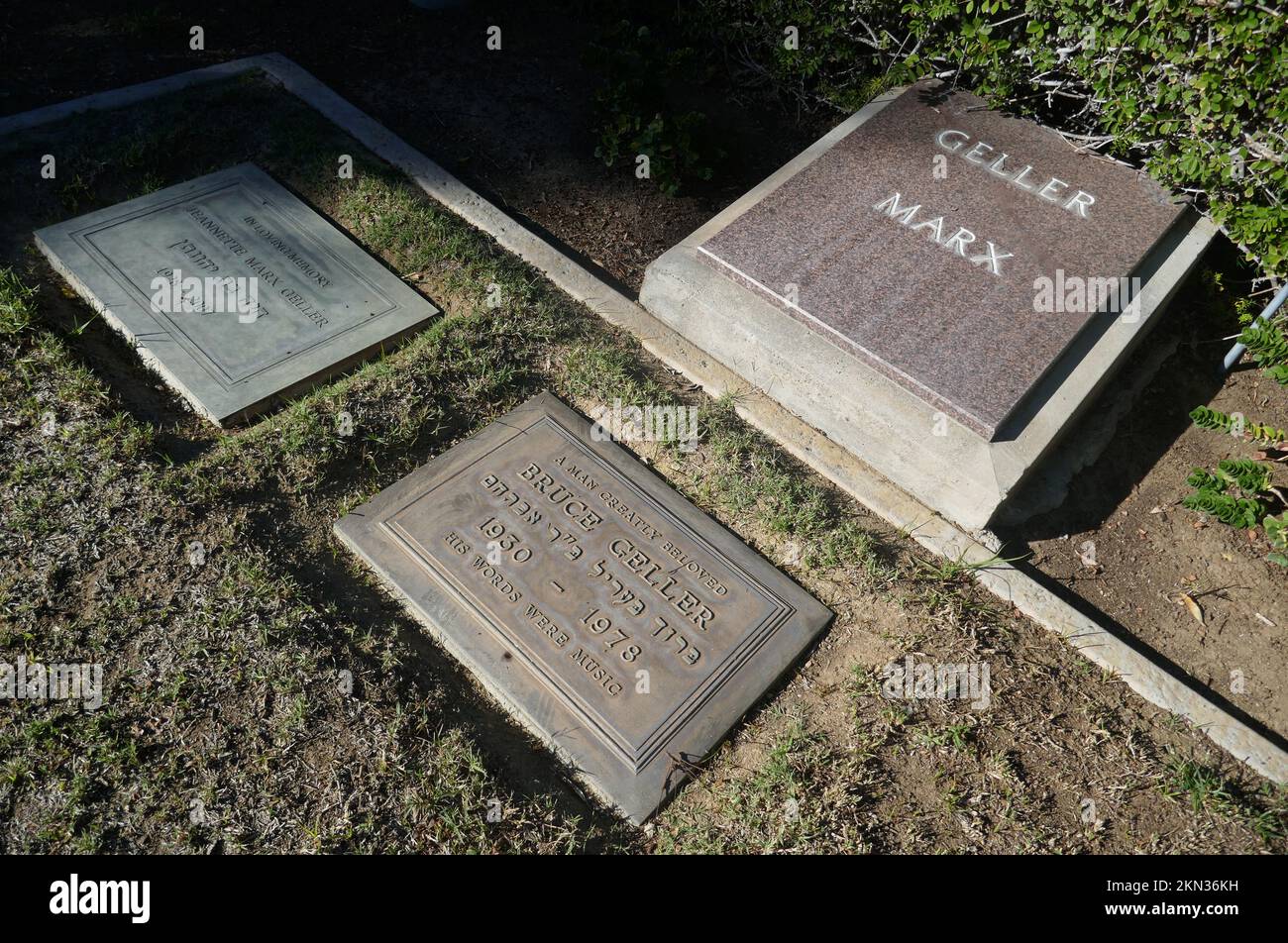 Los Angeles, California, USA 25th November 2022 Director/Producer ...