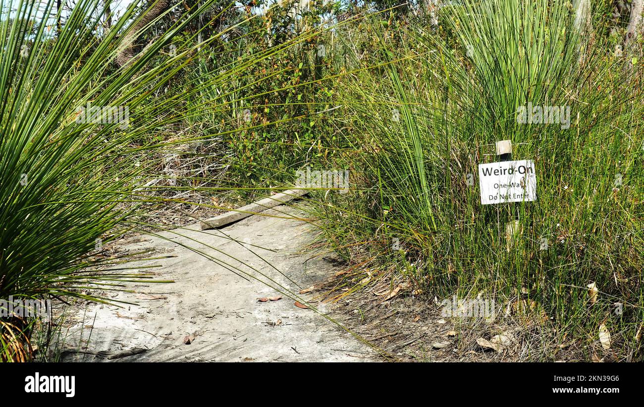 Garigal national park hi-res stock photography and images - Alamy