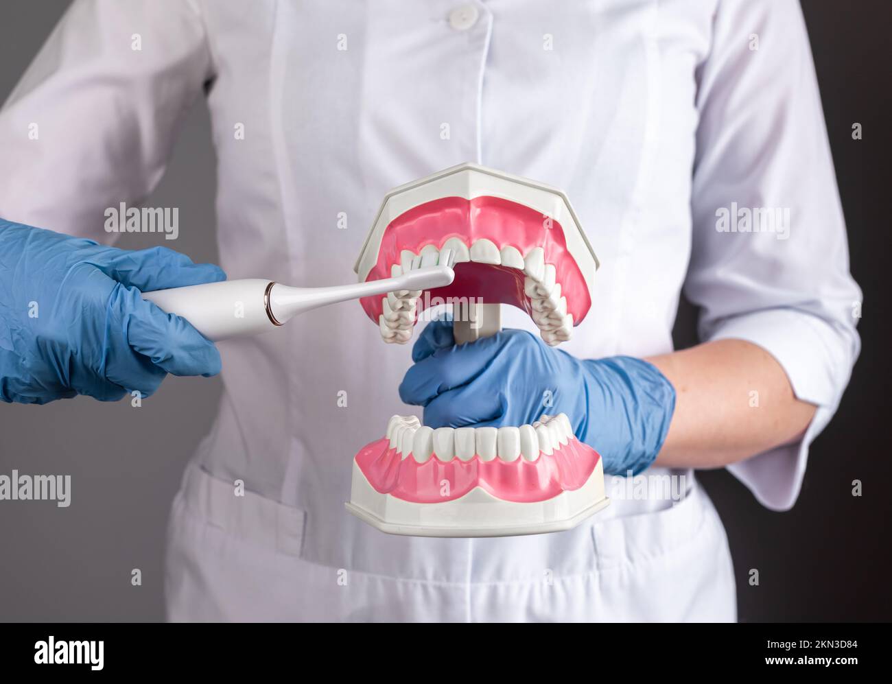 Dentist brushing teeth jaw model with electric toothbrush, closeup ...