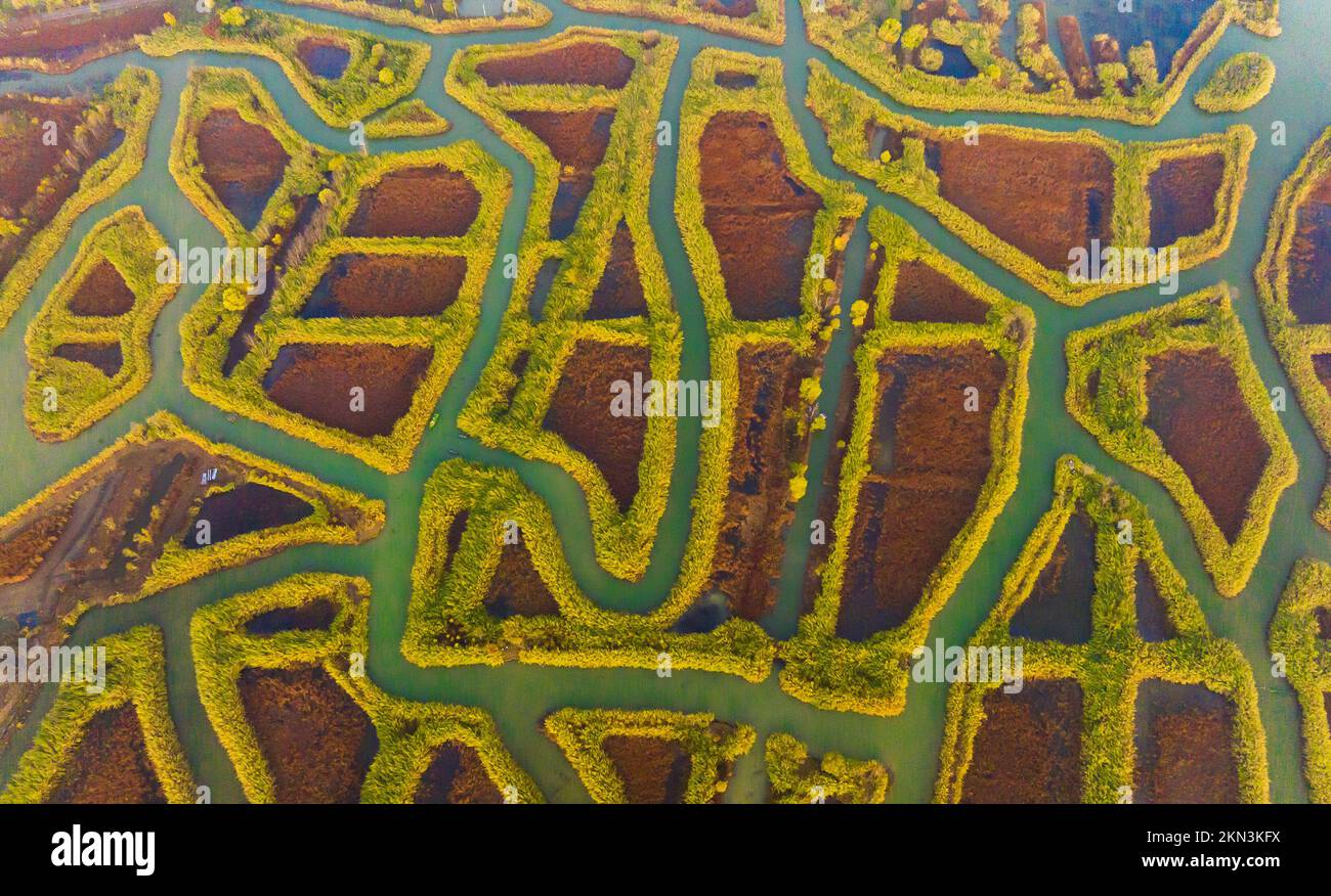 SUQIAN, CHINA - NOVEMBE 25, 2022 - Aerial photo shows the winding reed ...