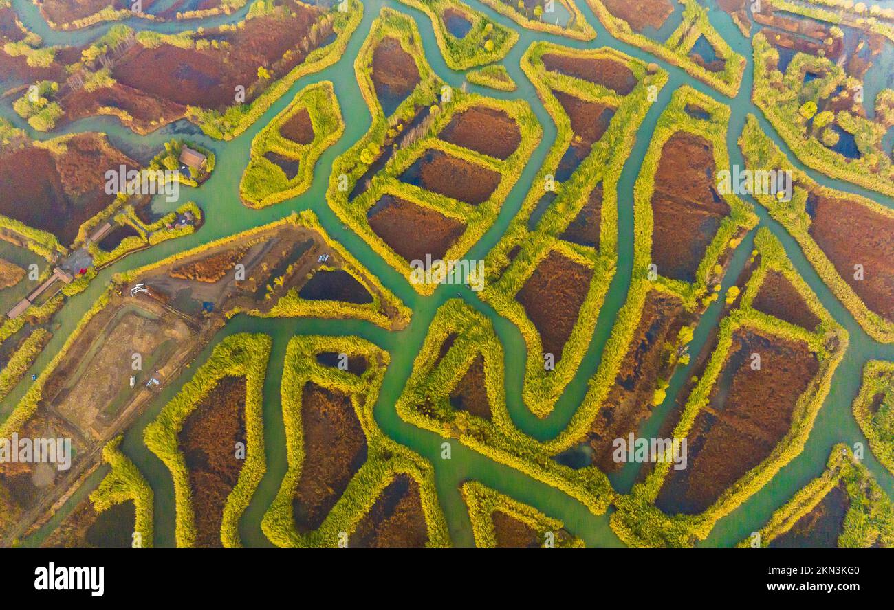 SUQIAN, CHINA - NOVEMBE 25, 2022 - Aerial photo shows the winding reed ...