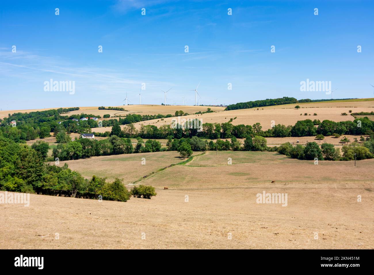 : dried out fields in summer, wind turbines in Lorraine (Lothringen ...