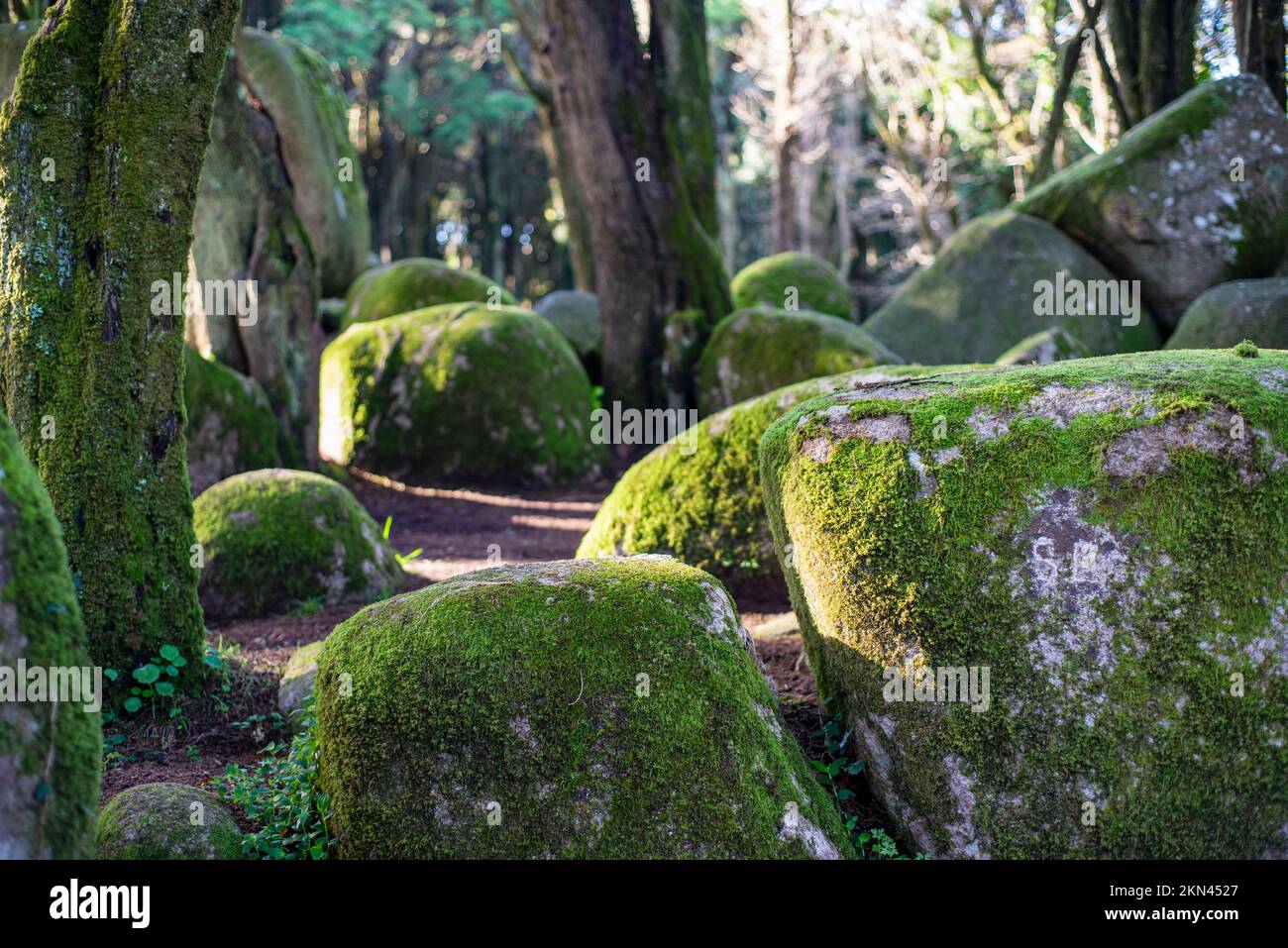 Big granite stones with moss Stock Photo - Alamy