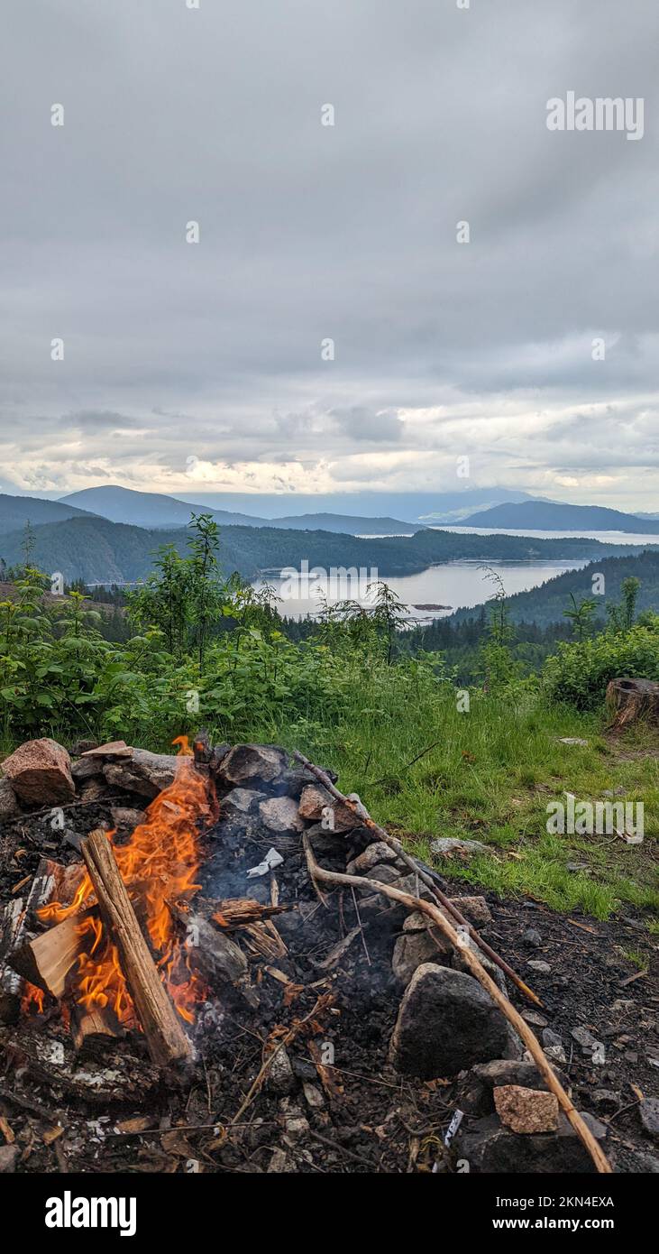 A vertical of a dying forest fire, bonfire against a scenic natural ...