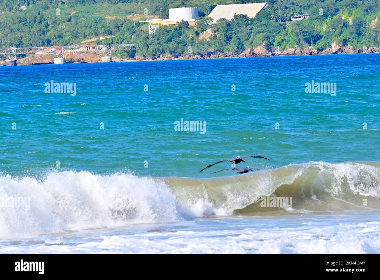 Two birds flying over foamy sea waves at Colon Park beach in Puerto ...