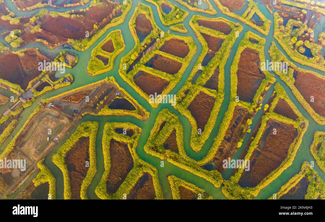 SUQIAN, CHINA - NOVEMBE 25, 2022 - Aerial photo shows the winding reed ...