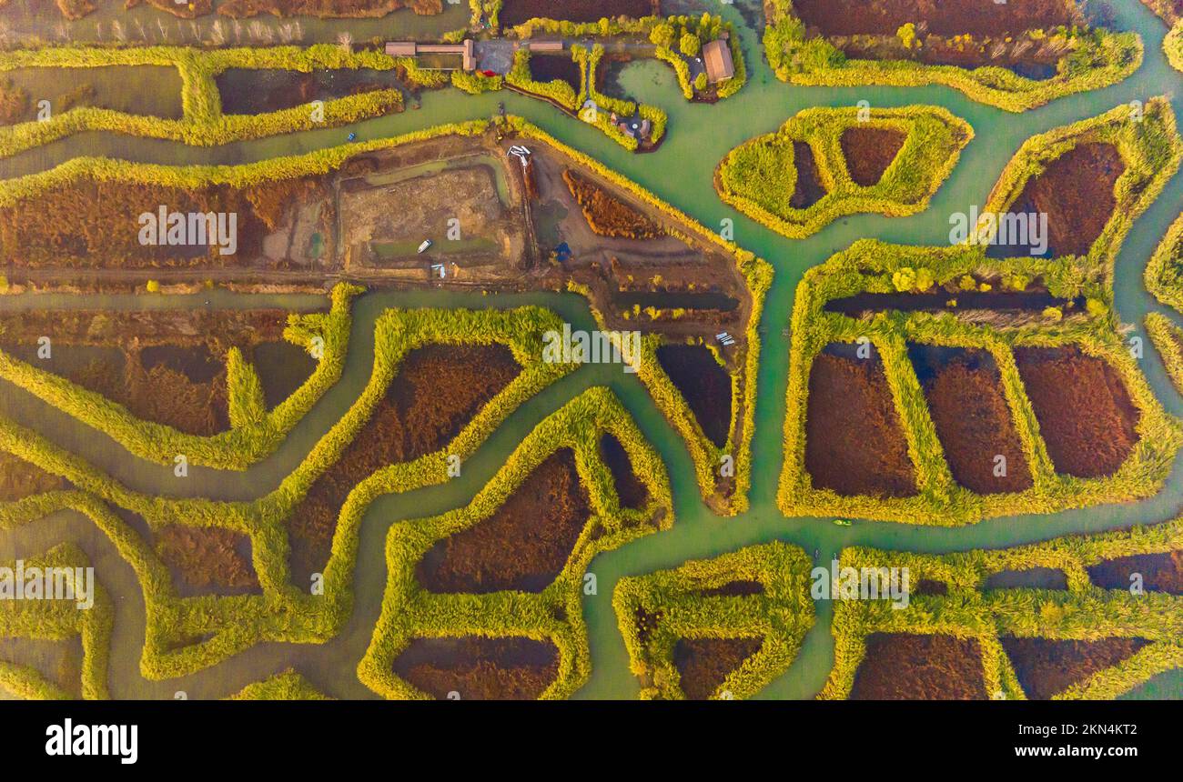 SUQIAN, CHINA - NOVEMBE 25, 2022 - Aerial photo shows the winding reed ...