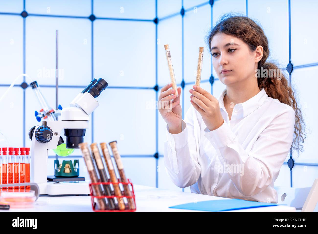a young woman in the seed quality control laboratory inspects plant ...