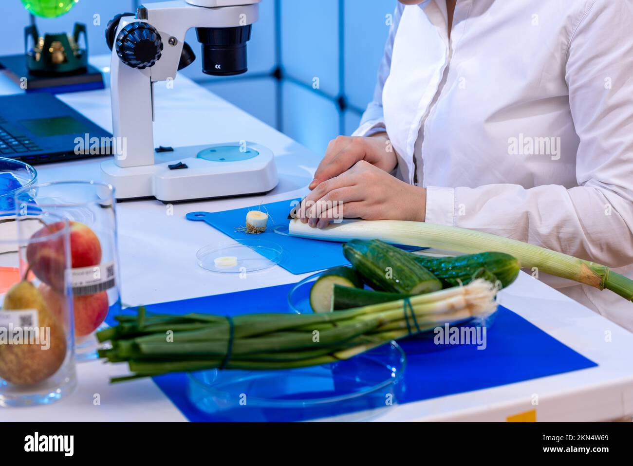 young woman in a food quality control laboratory examining samples of ...