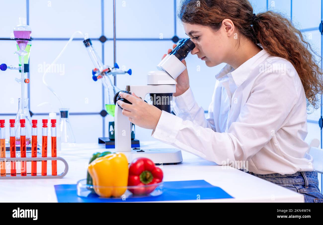 young woman in a food quality control laboratory examining samples of ...