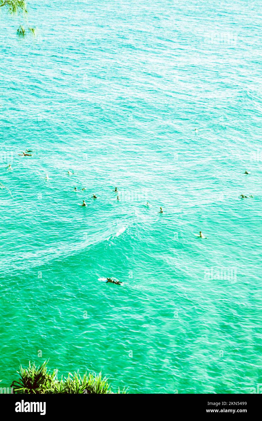 Vertical surfing landscape on a group of distant surfers paddling in ...