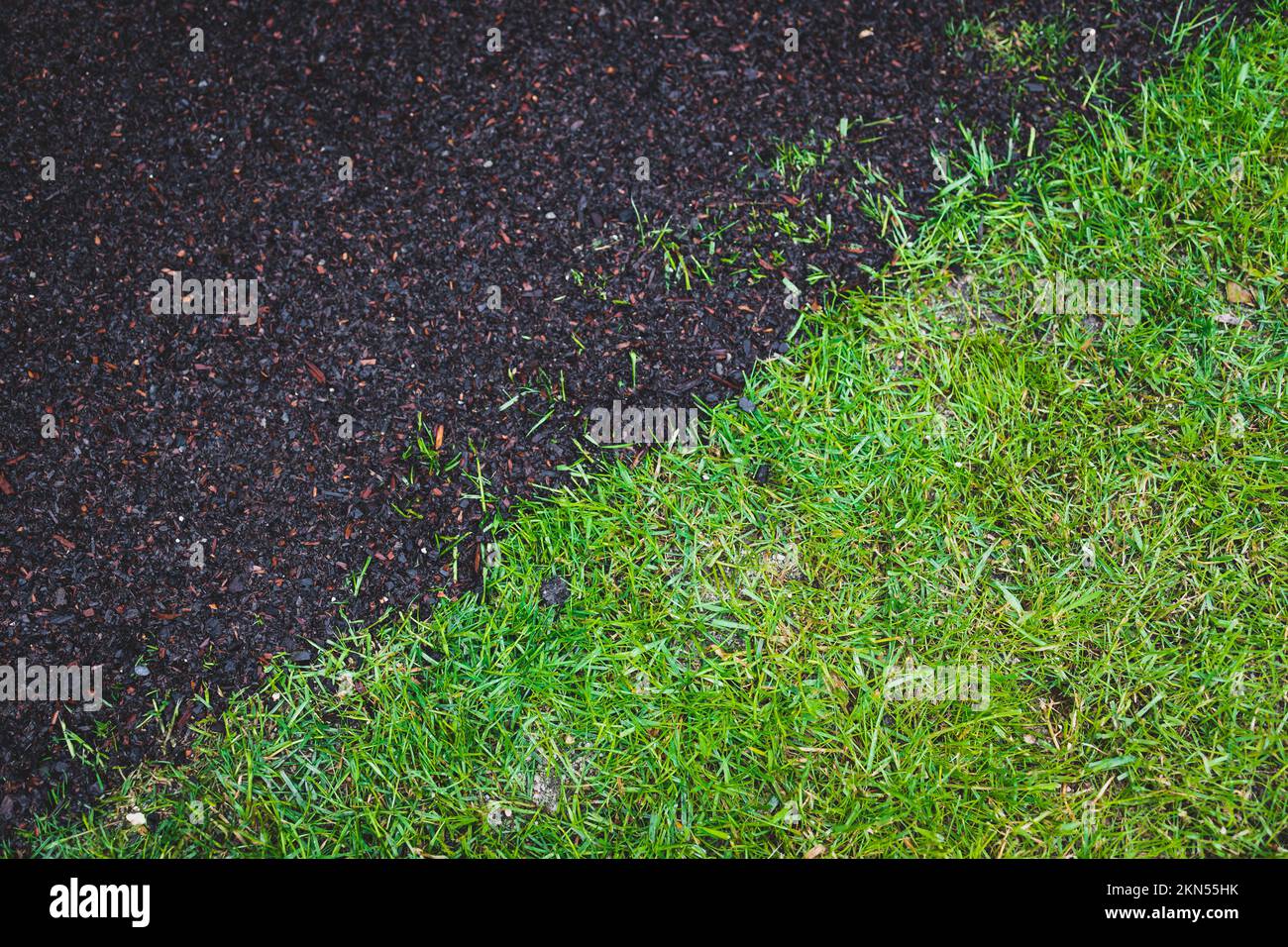 green grass lawn next to patch of soil with only a few blades growing ...