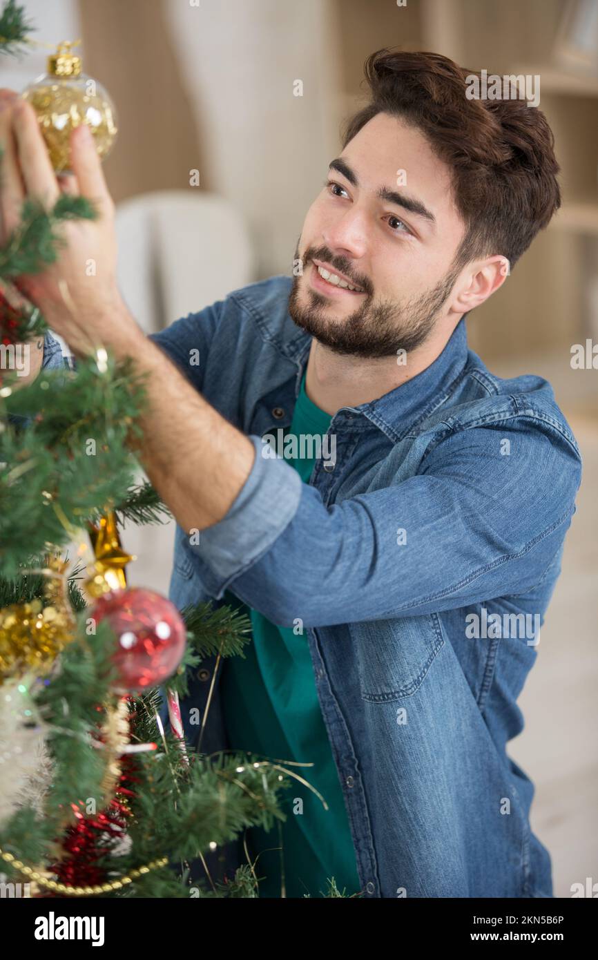 False christmas tree hi-res stock photography and images - Alamy