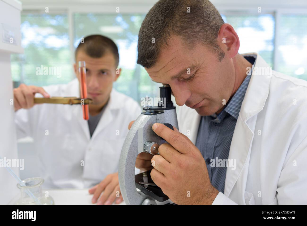 two male scientists working in laboratory one using microscope Stock ...