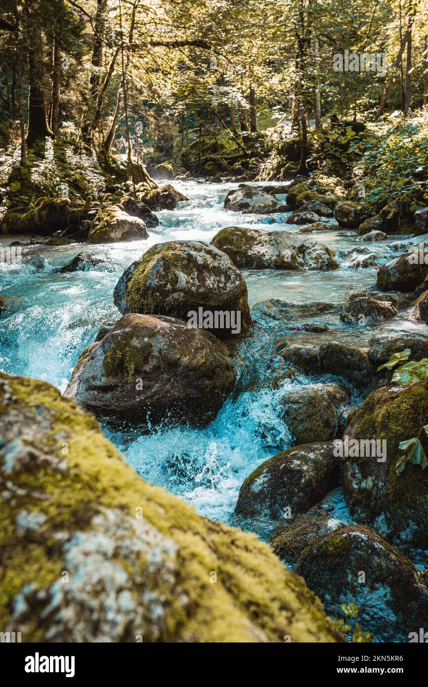 A raging river with big rocks covered with moss Stock Photo - Alamy